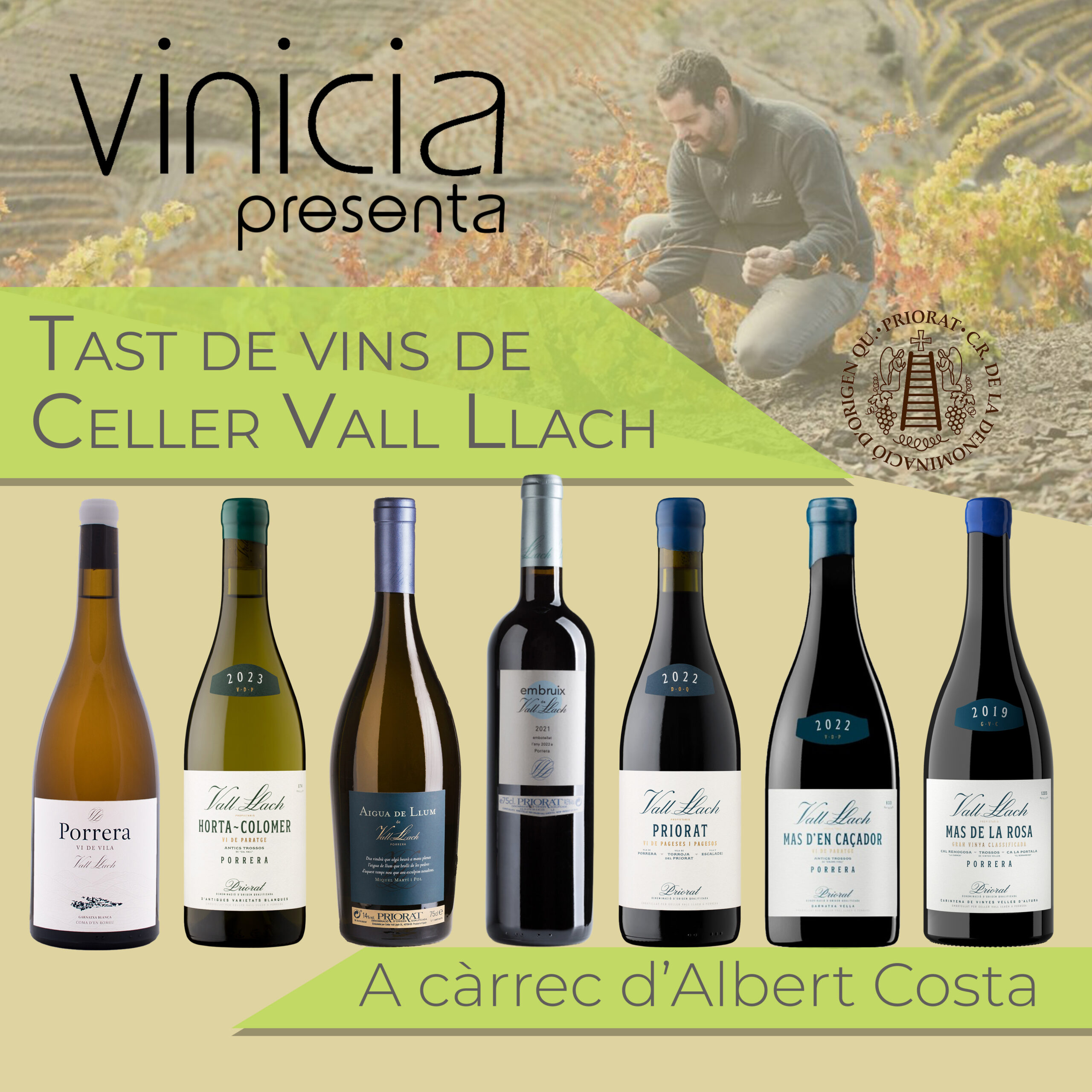 Cata de vinos de la Bodega Vall Llach - VINICIA